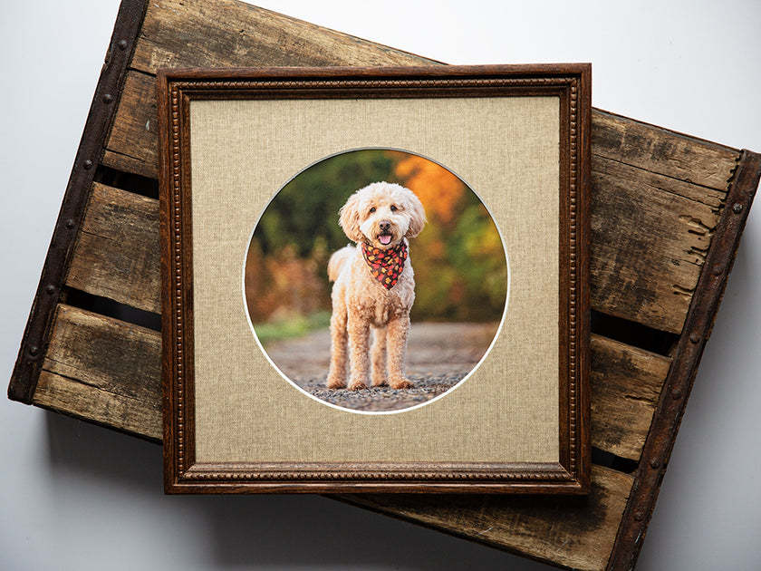 Traditional Linen: Beige – farmhouse frames